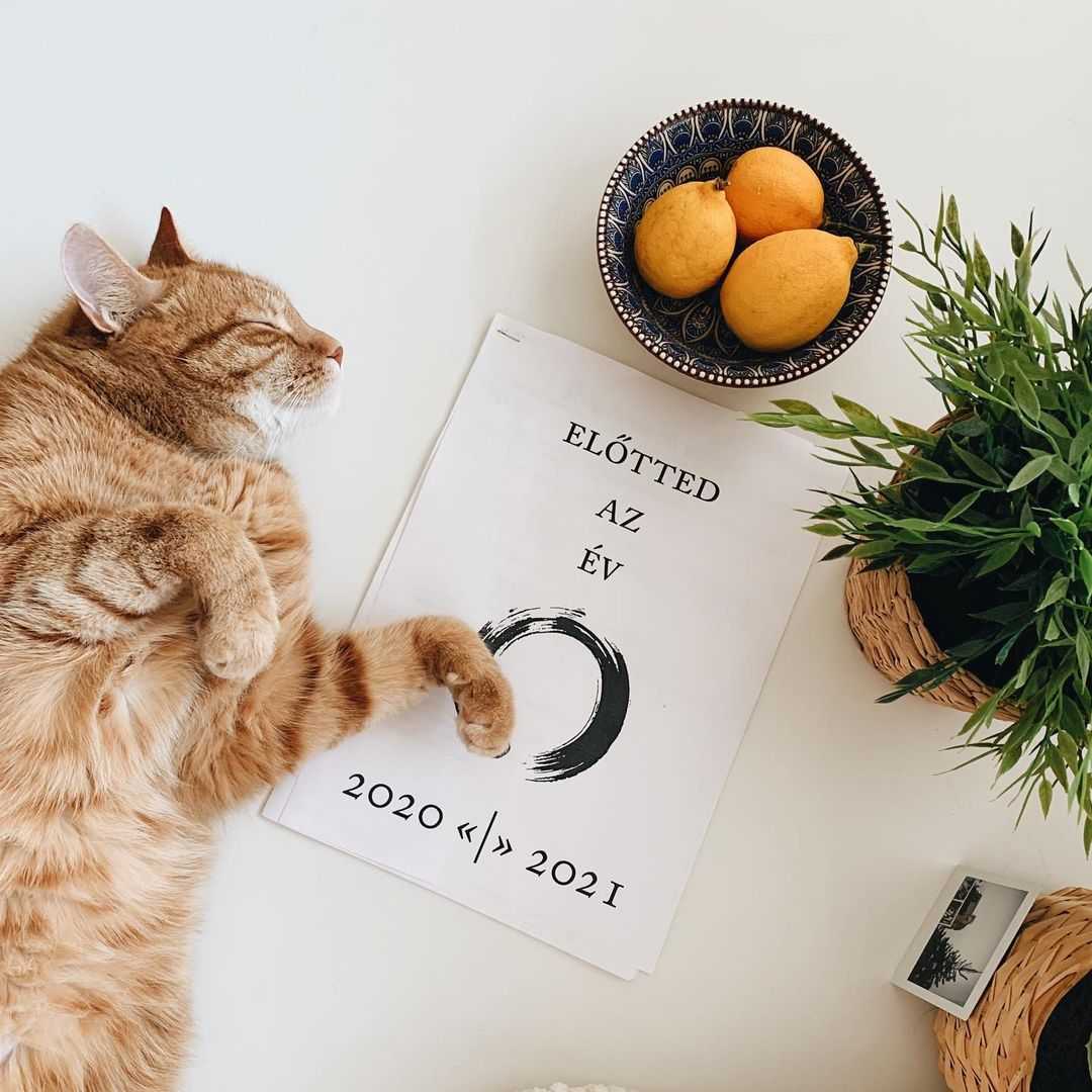 YearCompass | The booklet that helps close your year and plan the next one.